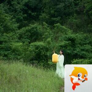 万宝龙LBL:【夏天的绿】 - VV