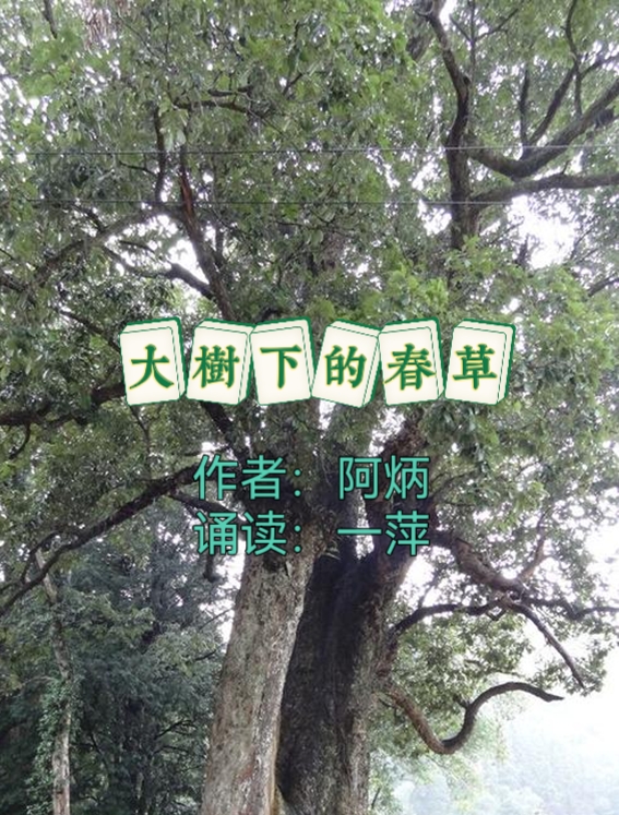 蒋一萍:大树下的春草 - VV