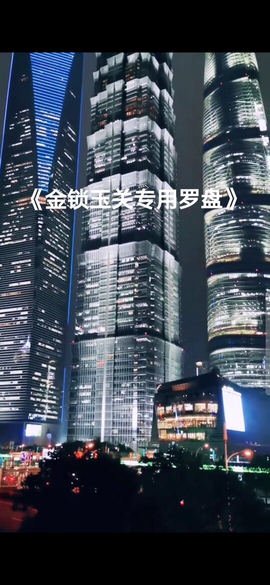 YangWu:金锁玉关专用罗盘详解 杨晤 金锁玉关罗盘在中心定方位的磁针外，共有8层图形或文字，靠近中心点的第 - VV