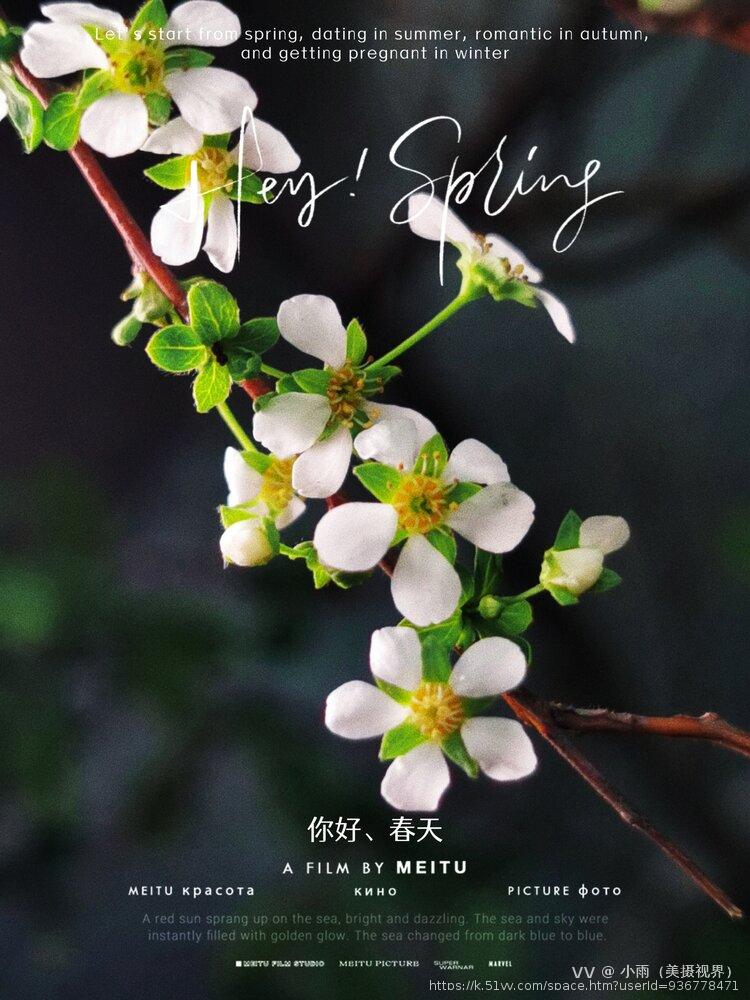 小雨（美摄视界）:春的使者 - VV
